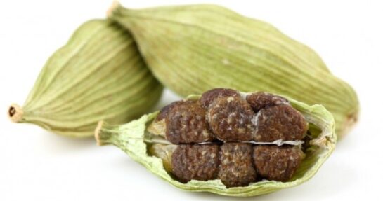 Kakule Nasıl Yenir? | Doğa